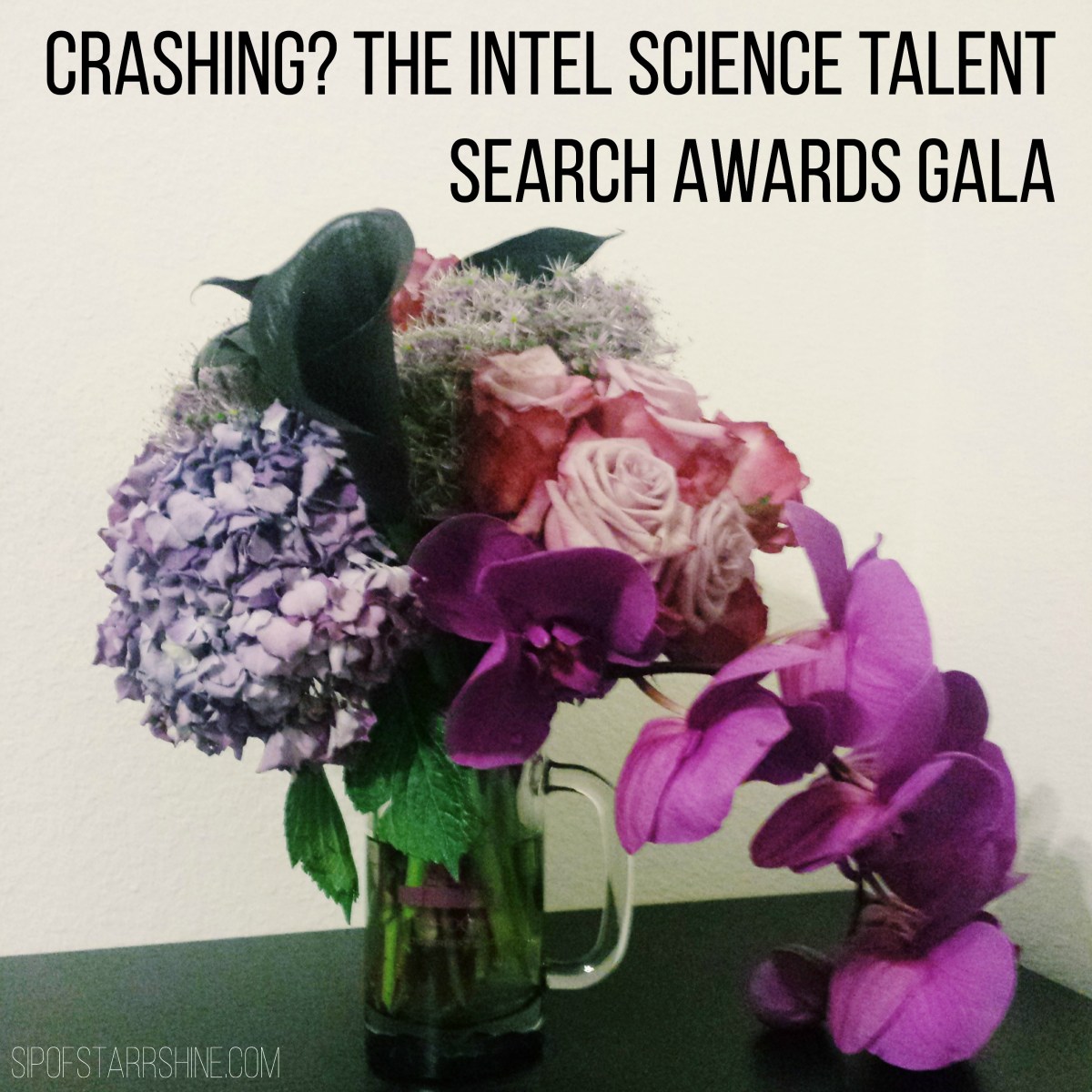 75th Intel Science Talent Search Awards Gala – Sip of Starrshine